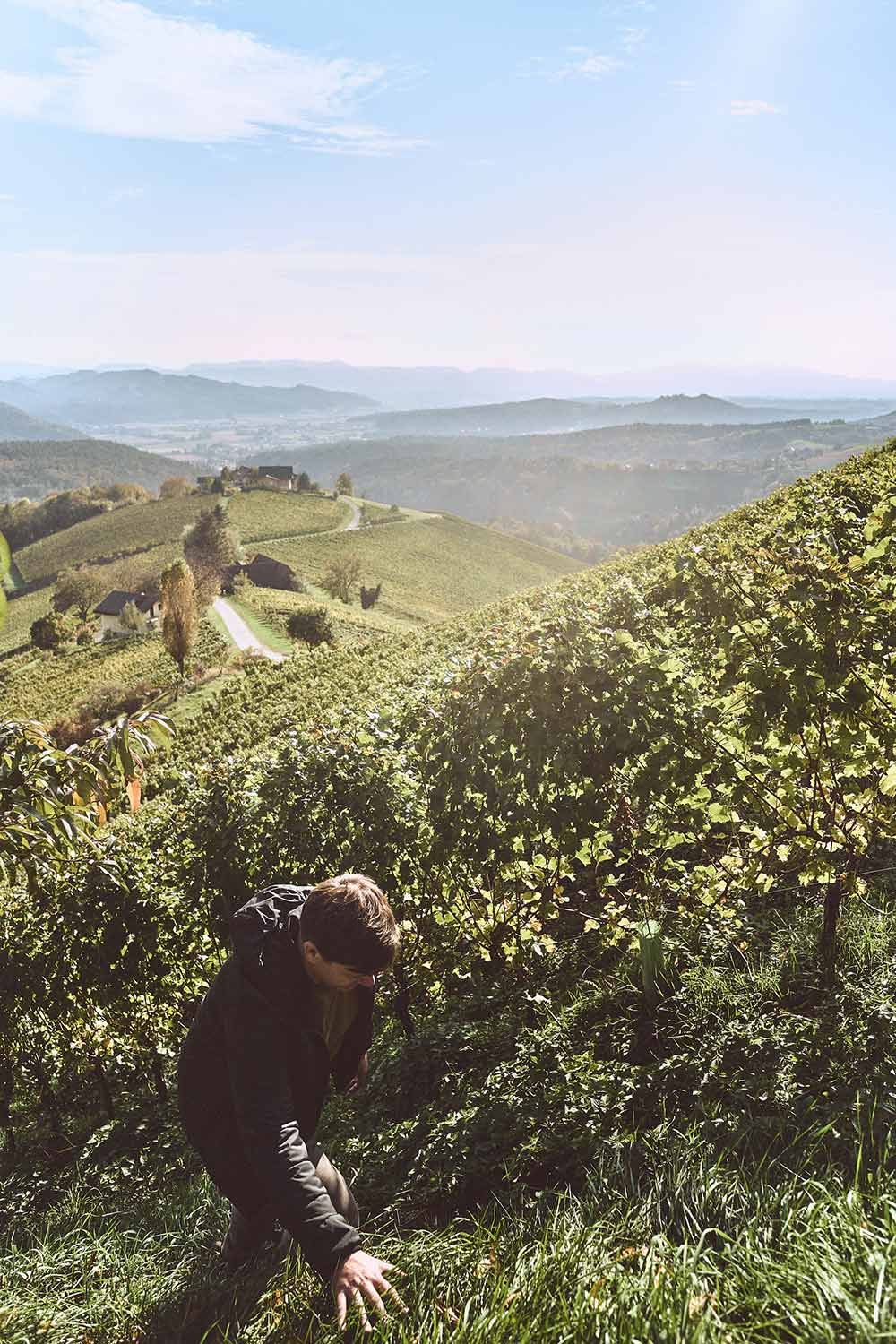 Wohlmuth - Winzer - Südsteiermark - 2024 - Gault&Millau