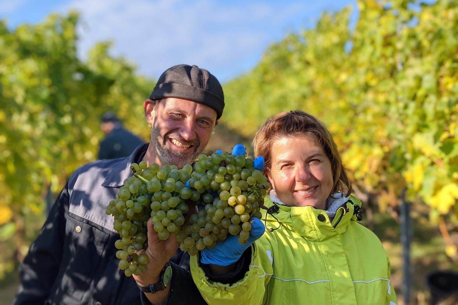 Brandl - Winzer - Kamptal - 2024 - Gault&Millau