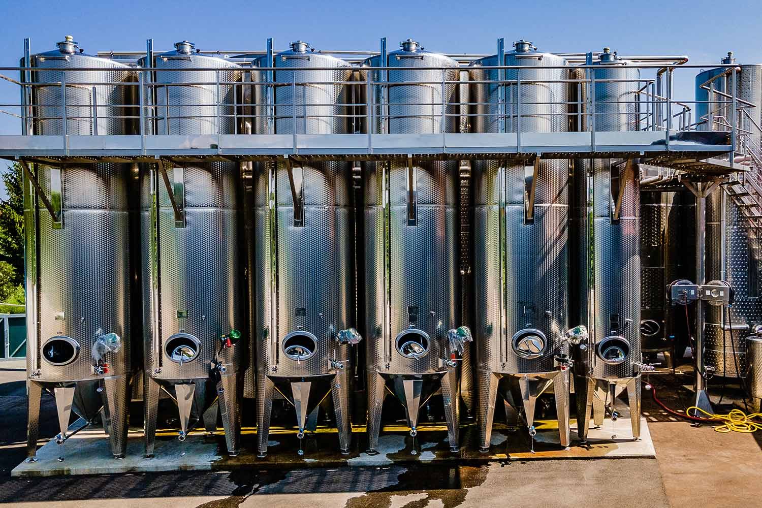 Christian Reiterer - Winzer - Weststeiermark - 2024 - Gault&Millau