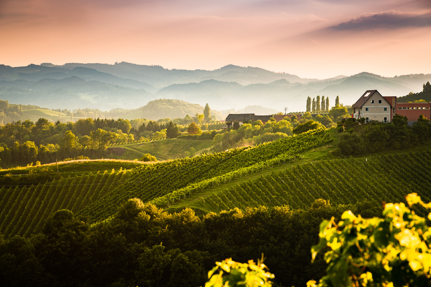 Die besten Restaurants in der Steiermark - News - 2025 - Gault&Millau