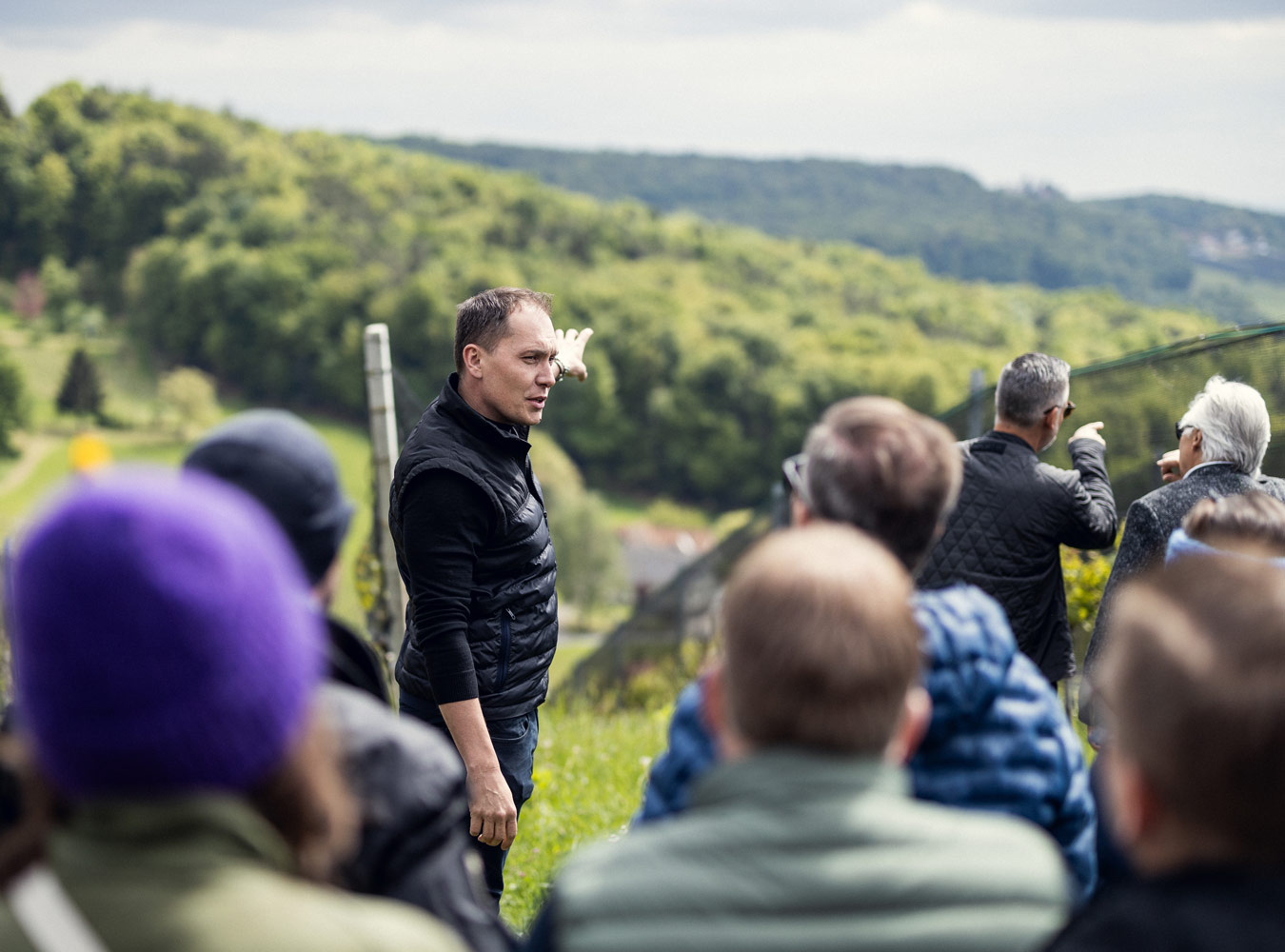 Weingut Krispel: Ein Wein im Zeichen des Vulkans - News - 2025 - Gault ...