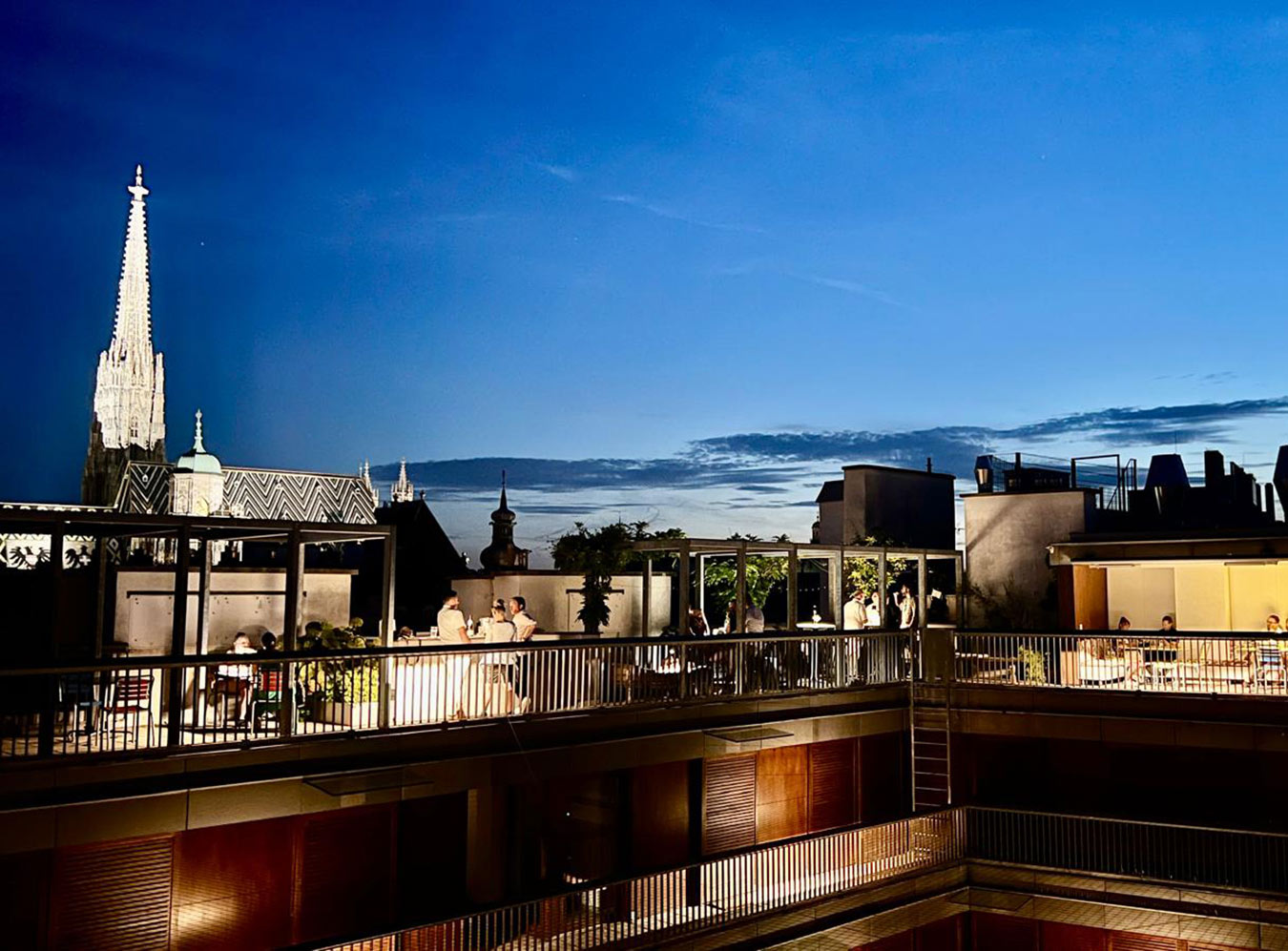 Defloration trex verification proved to be a snap through