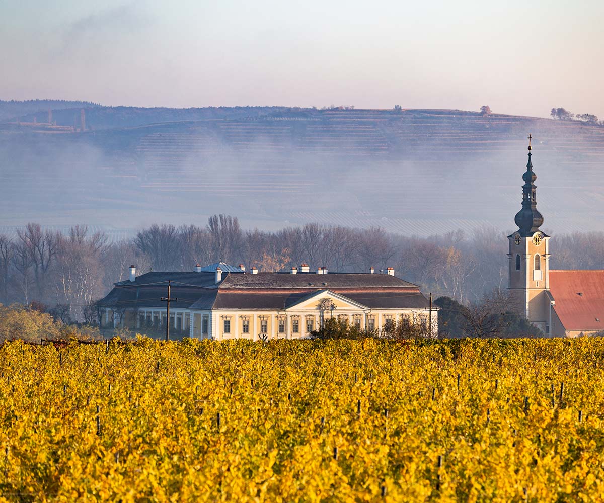 Schloss Gobelsburg - Winzer - Kamptal - 2025 - Gault&Millau
