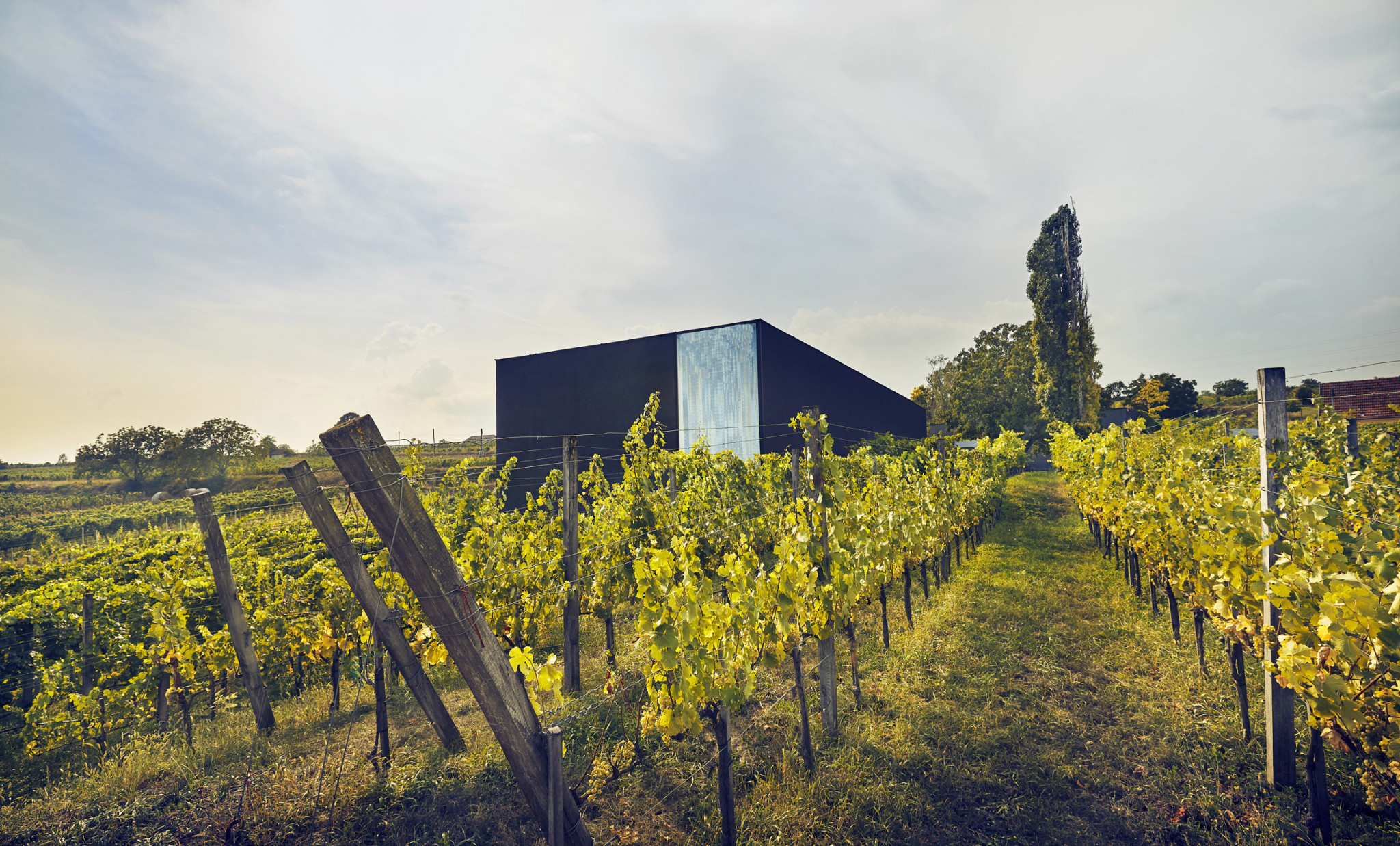 Fred Loimer - Winzer - Kamptal - 2025 - Gault&Millau